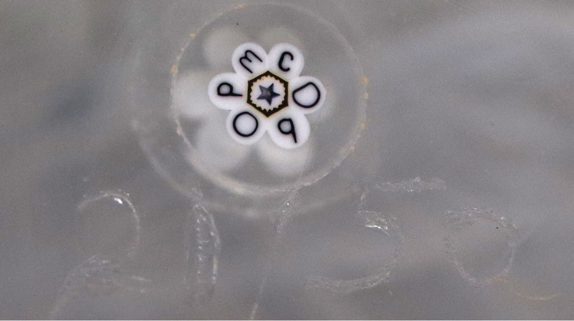 Peter Mcdougall | Assorted studio art glass paperweights (2009) | MutualArt