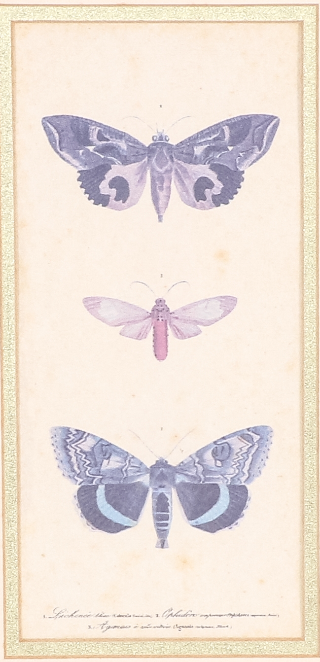 Chris Diedericks | NUDE 1; NUDE 2 | MutualArt