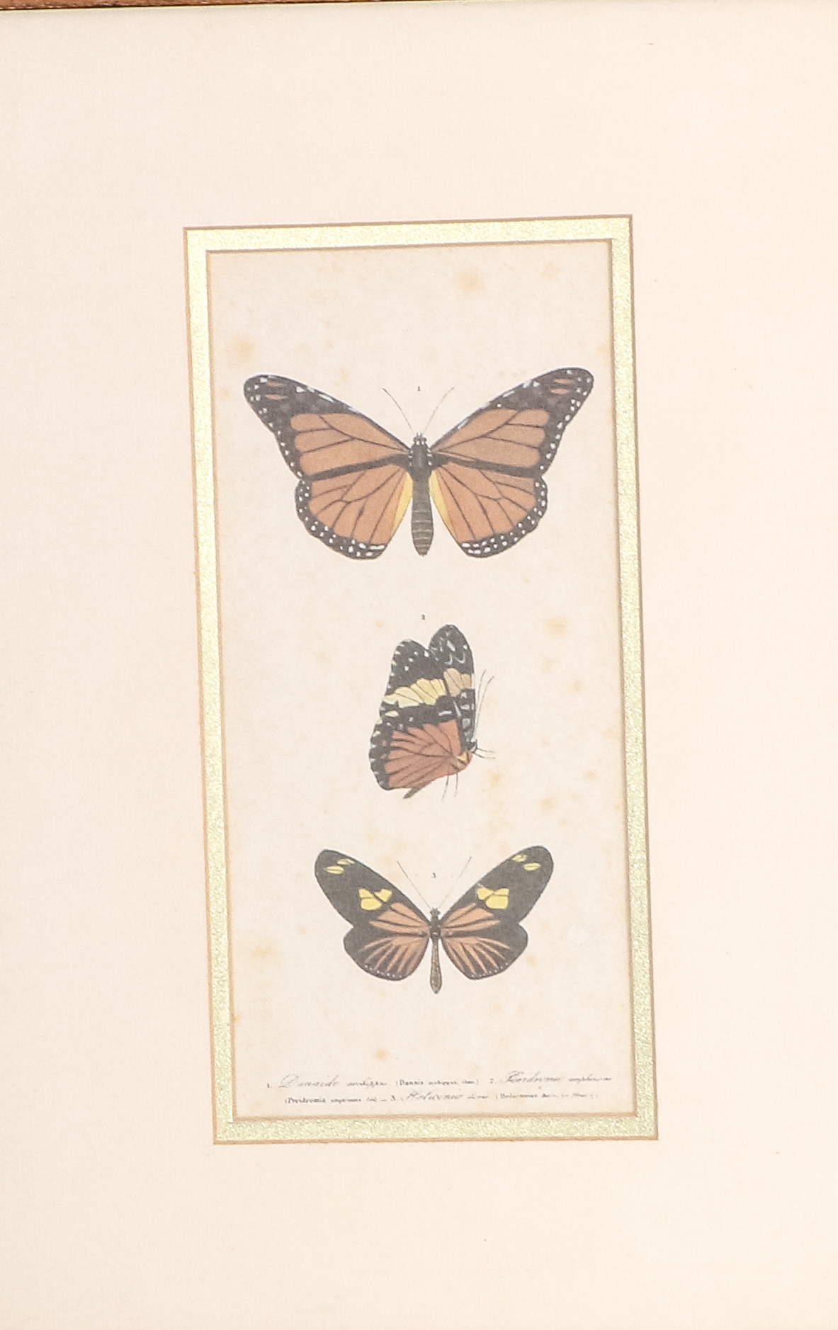 Chris Diedericks | NUDE 1; NUDE 2 | MutualArt