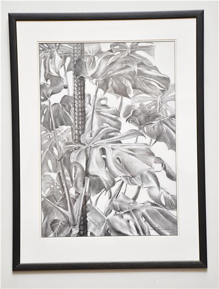 June Bevan | Monstera Deliciosa | MutualArt
