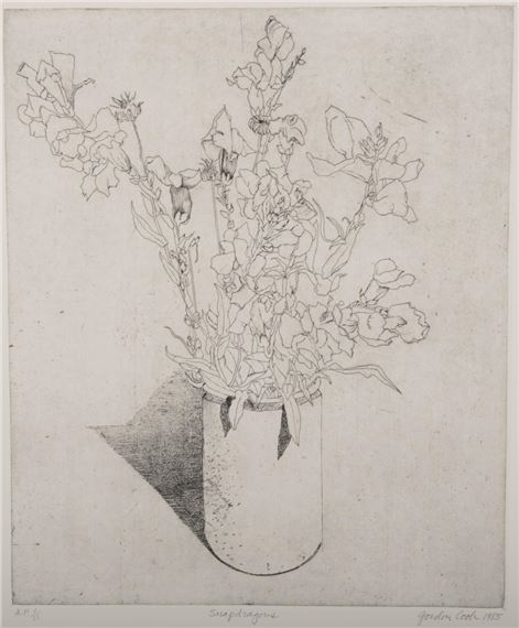 Gordon Cook | Snapdragons, 1985 (1985) | MutualArt