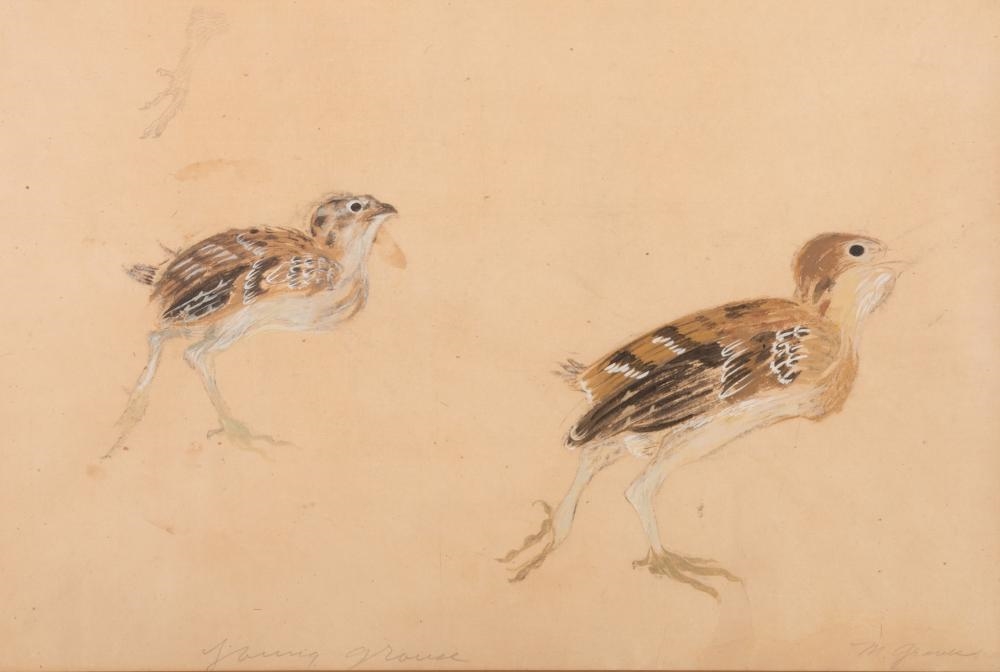 Morris Graves | Summer Flowers (1976) | MutualArt