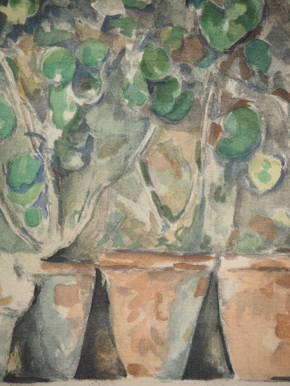 Paul Cézanne | Les pots de géraniums (1971) | MutualArt