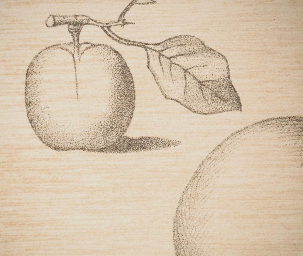 Max Ernst | Pommes surréalistes (1969) | MutualArt