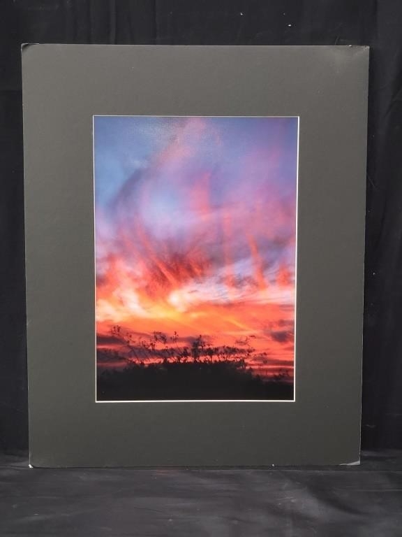 Liz Breault | Whoosh | MutualArt