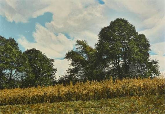 J Wayne Bystrom | Cornfield | MutualArt