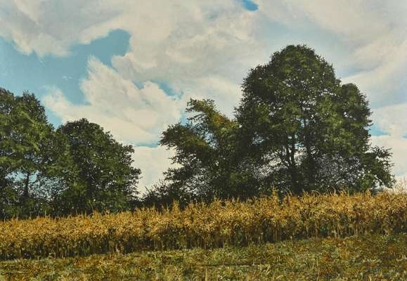 J Wayne Bystrom | Cornfield | MutualArt