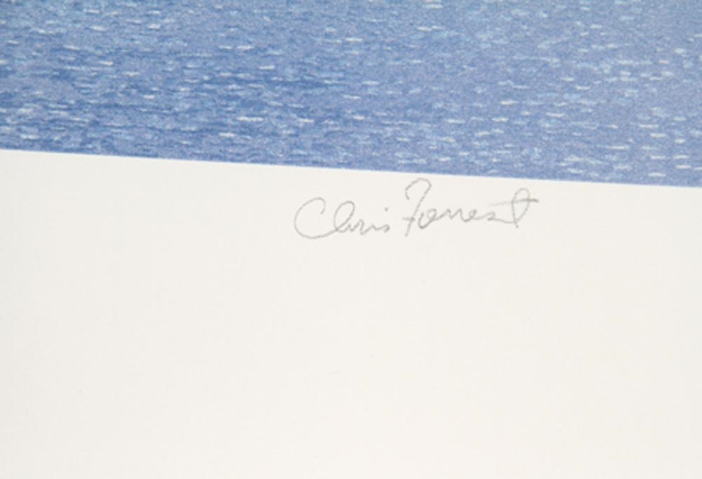 Chris Forrest | COMMON TERNS (1980) | MutualArt