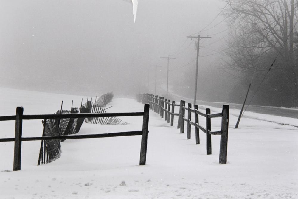 Theodore Cohen | WINTER FENCE AND ROAD | MutualArt