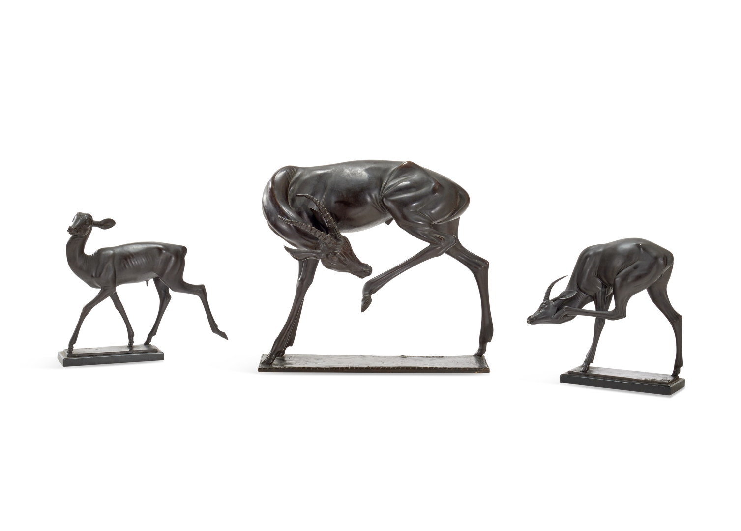 Sirio Tofanari | Antelope | MutualArt