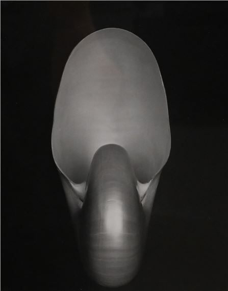 Edward Weston | Pepper #30 | MutualArt