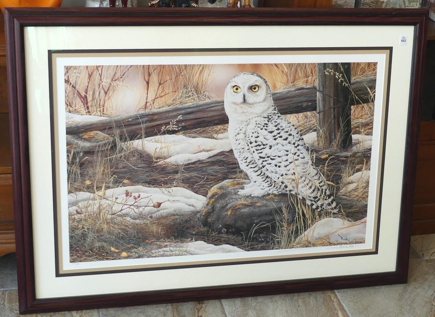 David Alexander Risk | Snowy Owl | MutualArt
