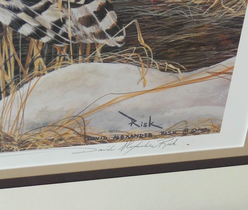 David Alexander Risk | Snowy Owl | MutualArt