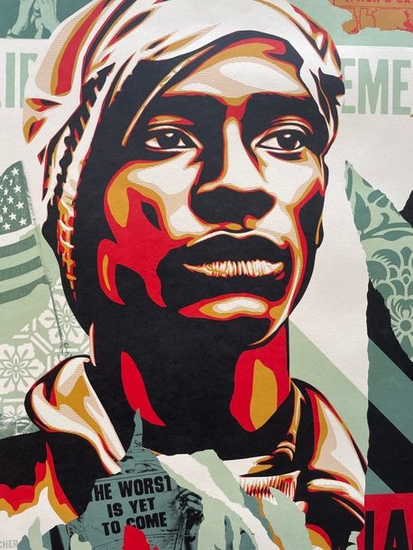 Shepard Fairey | Voting rights (21) | MutualArt