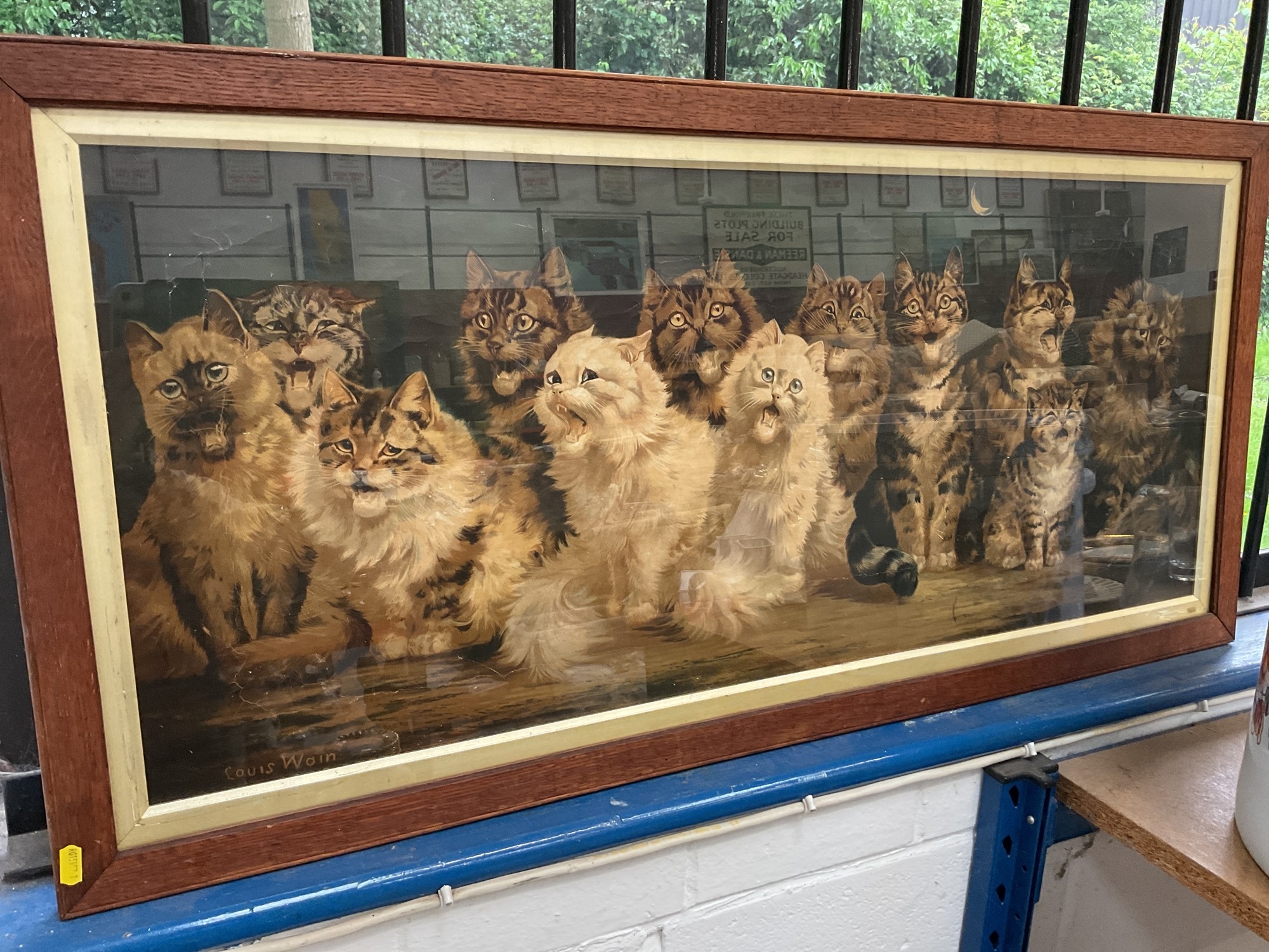 Louis Wain | Large Louis Wain print of a dozen miaowing cats, 97.5cm x ...