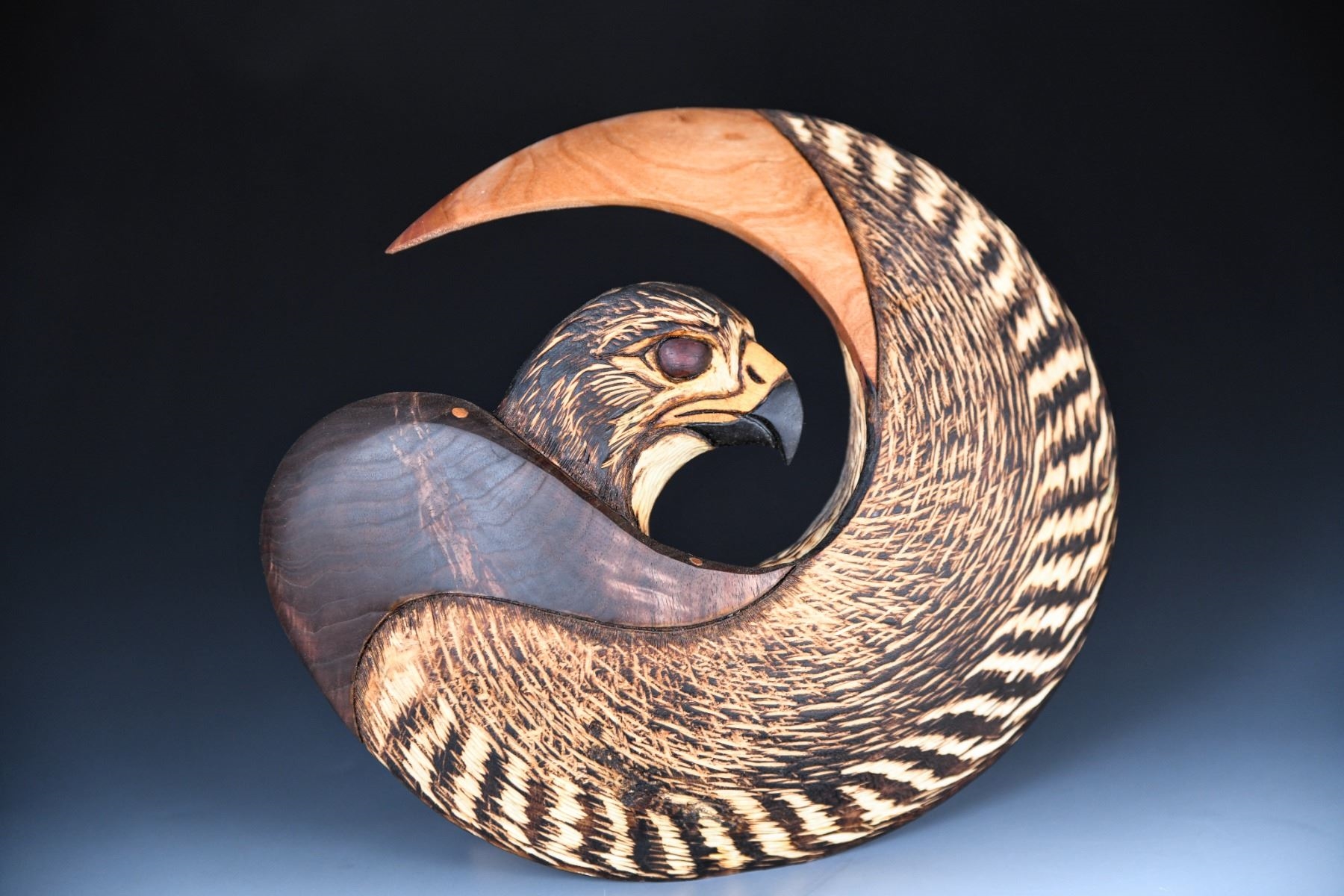 Derek Weidman | Red Tailed Hawk Lifespiral (2024) | MutualArt