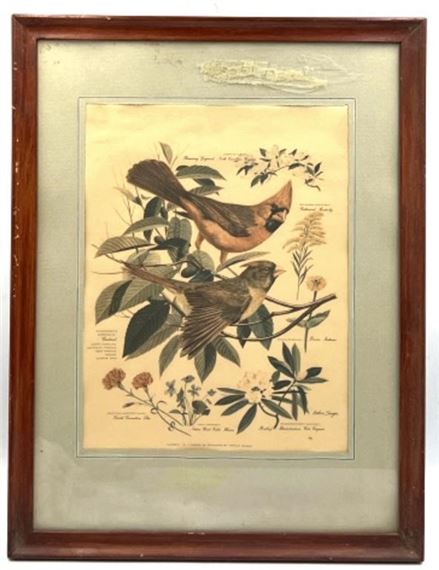 Arthur B. Singer | Vintage Arthur Singer Framed Print Cardinal Birds ...