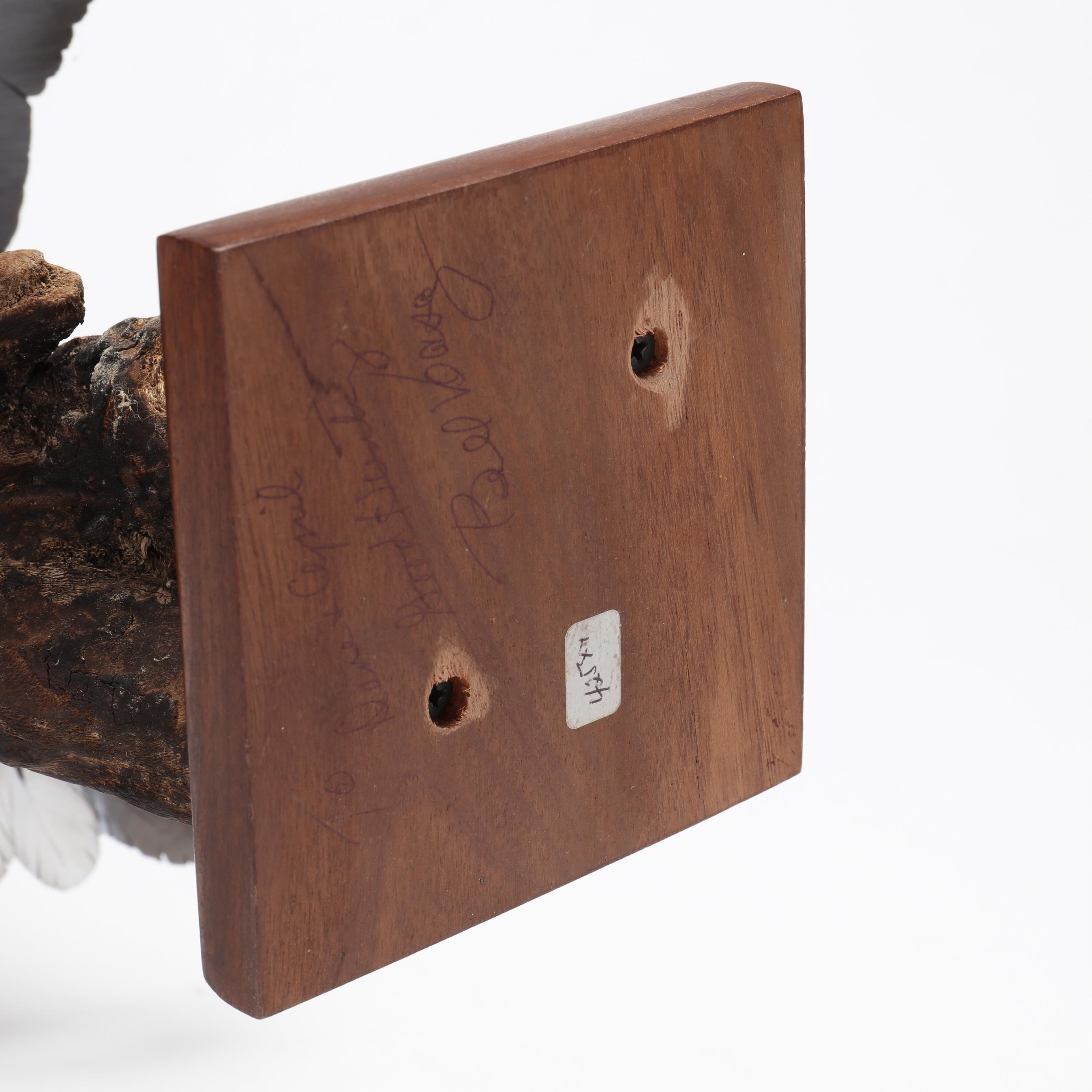 William Veasey | Mourning Dove In Flight (Circa 2000) | MutualArt