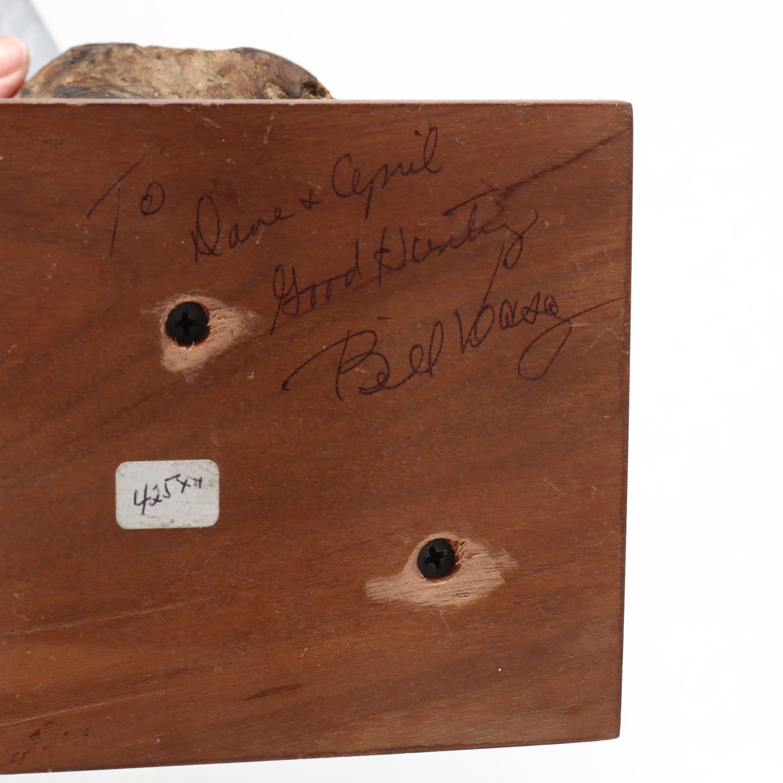 William Veasey | Mourning Dove In Flight (Circa 2000) | MutualArt