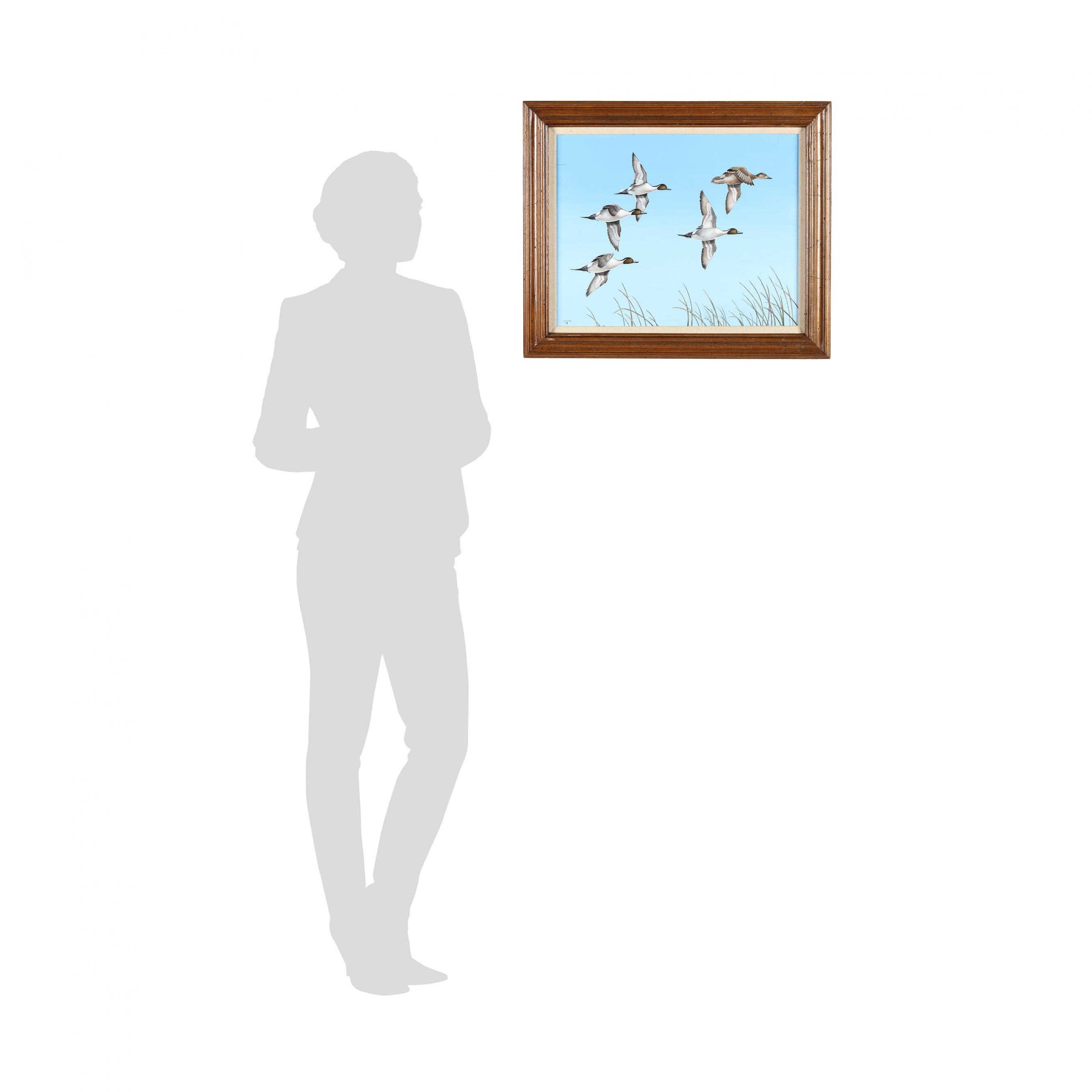 Lee Mauney | Flying Pintails | MutualArt