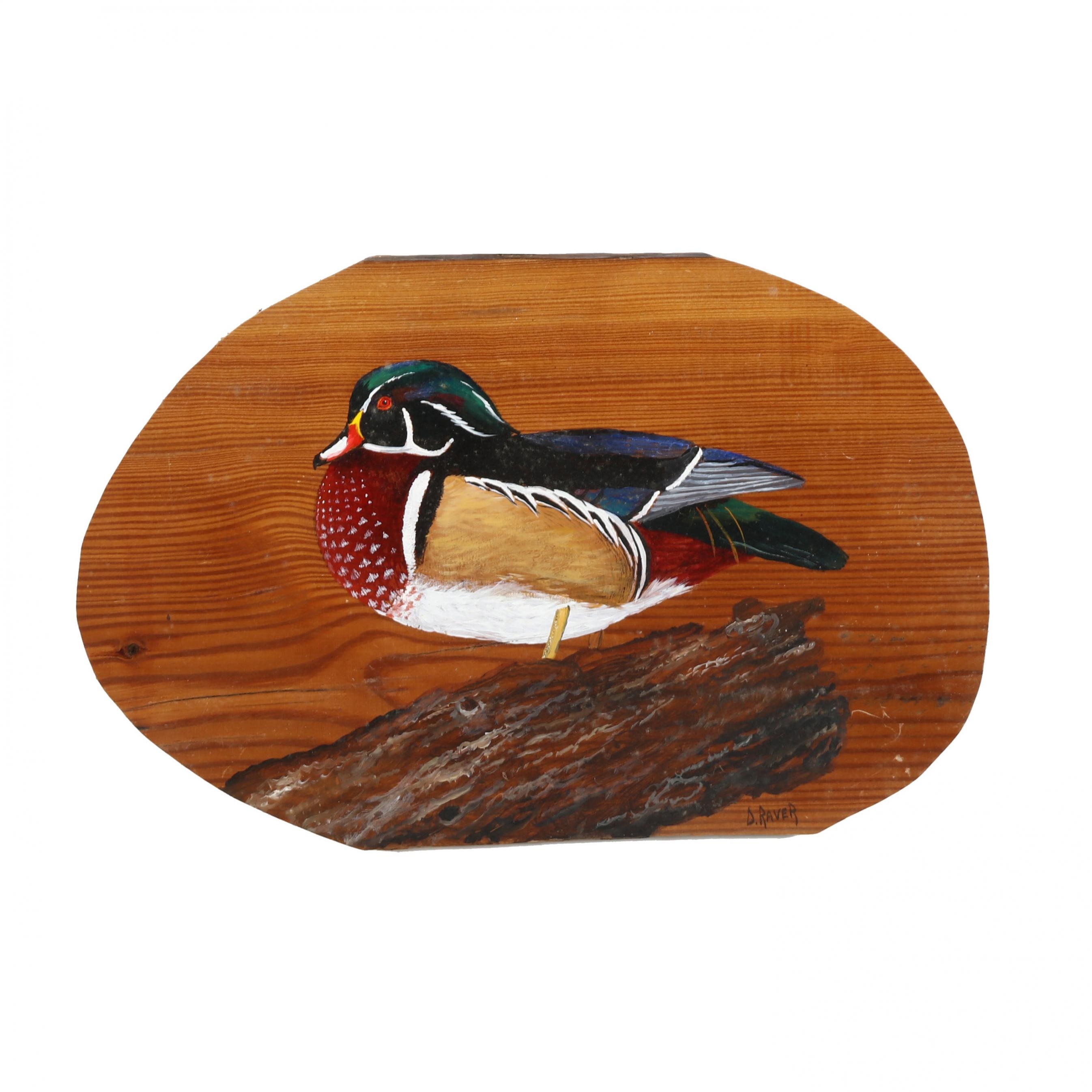 Duane Raver, Jr. | Wood Duck | MutualArt