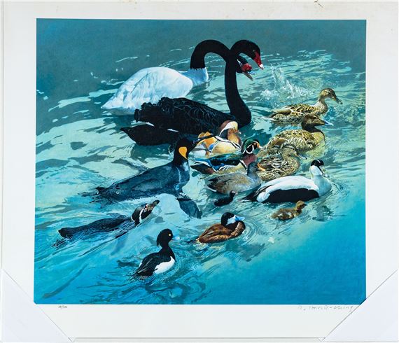 Raymond Harris Ching | Podiceps Cristatus Australis | MutualArt