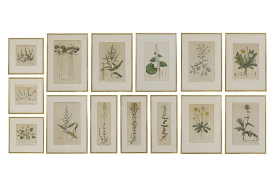 William Curtis | a set of fourteen hand-coloured engravings (1777 ...