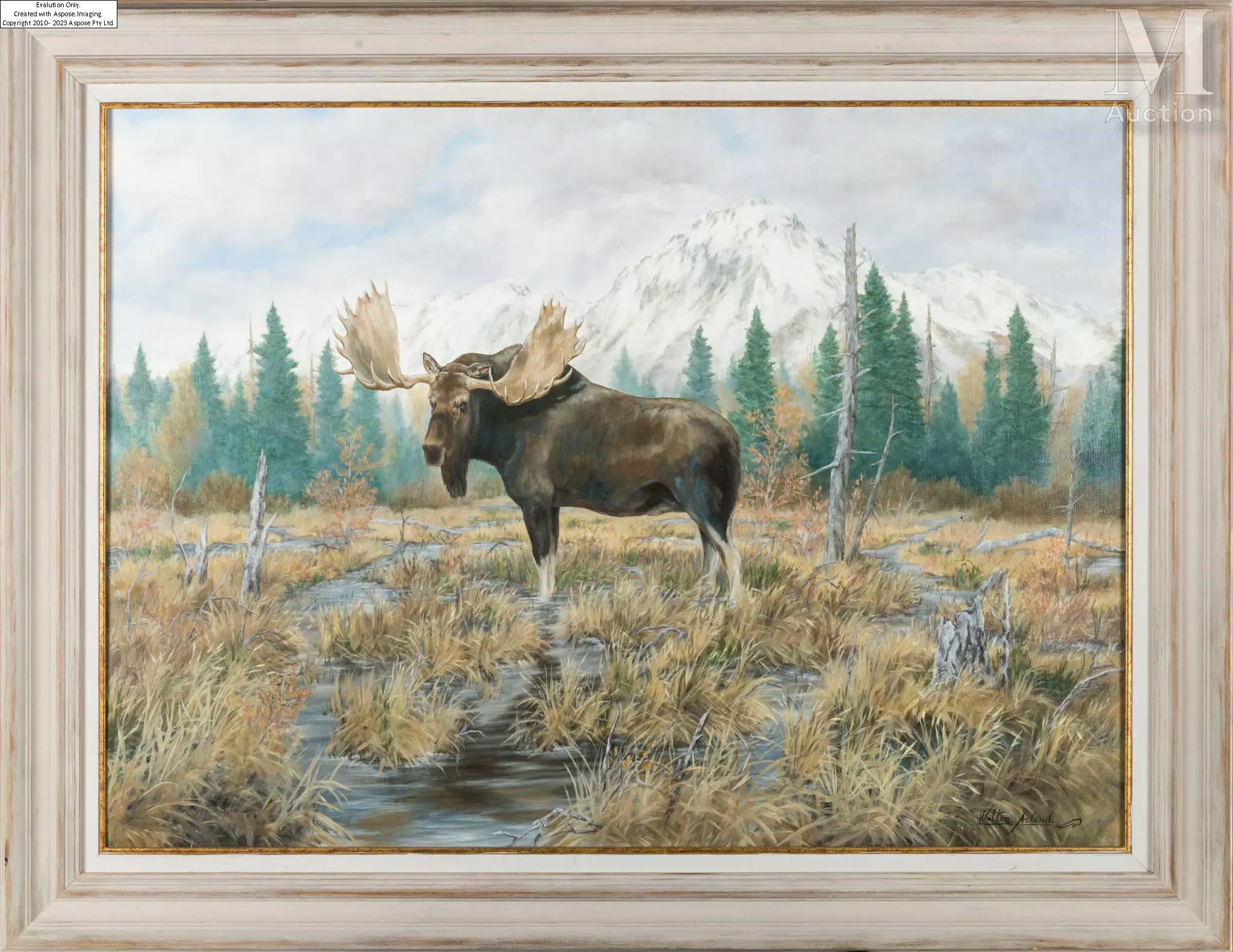 Walter Arlaud | Elan | MutualArt