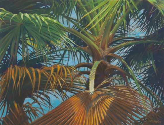 Richard Lundgren | Biography