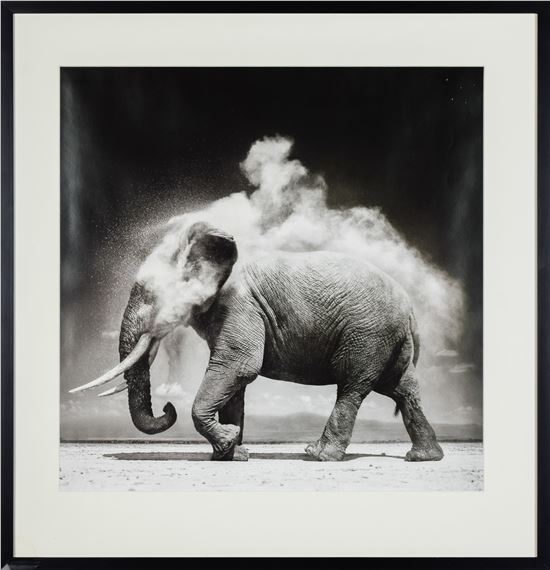 Nick Brandt | Elephant with exploding dust, Amboseli (2004) | MutualArt