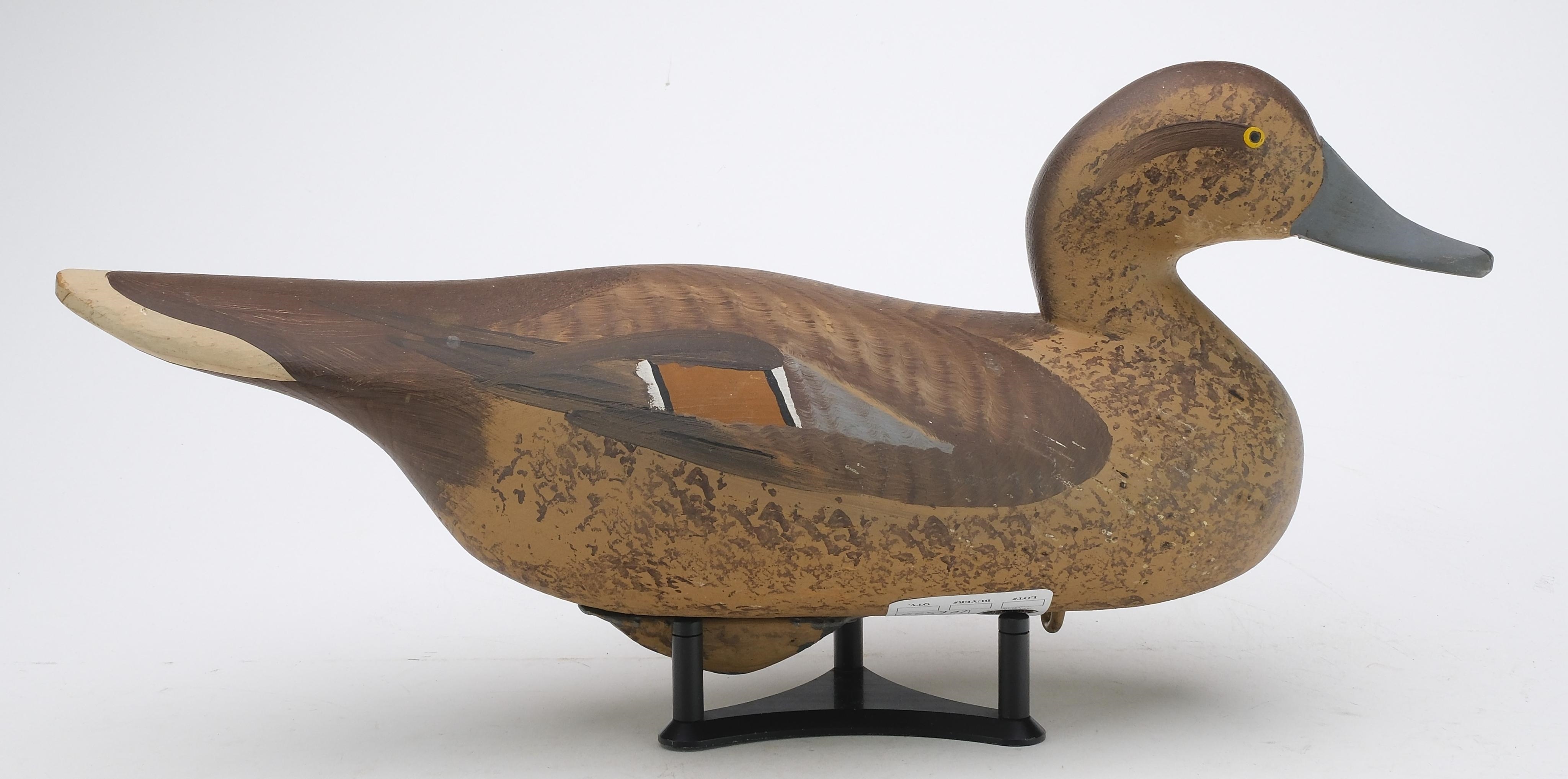 Madison Mitchell | Pintail hen | MutualArt