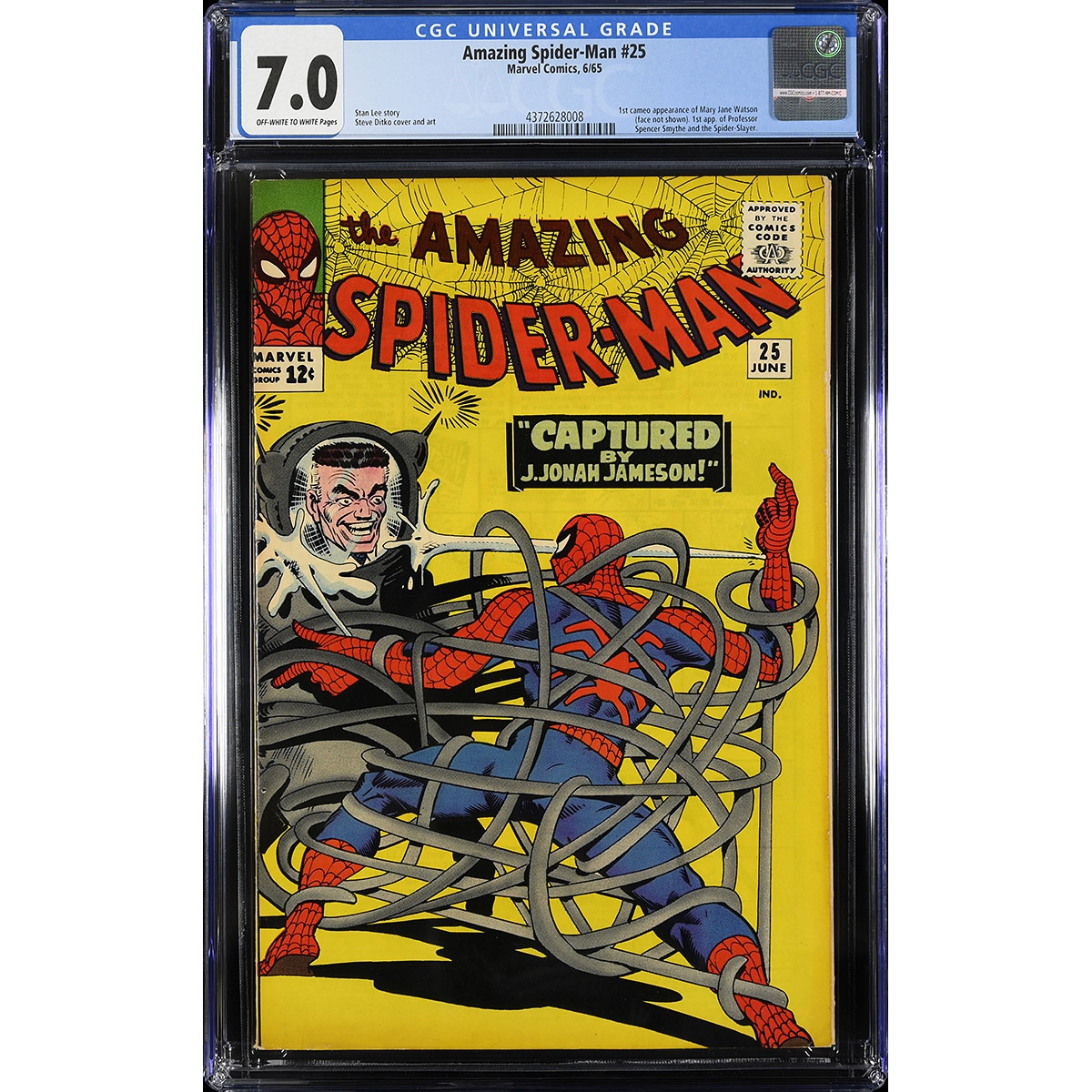 Marvel Comics | Amazing Spiderman | MutualArt