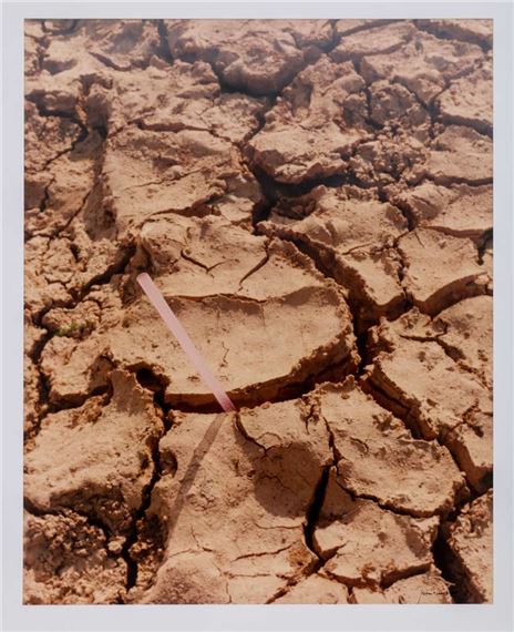 Jean Ruiter | Collectie kleurenfoto's uit de jaren 80 | MutualArt