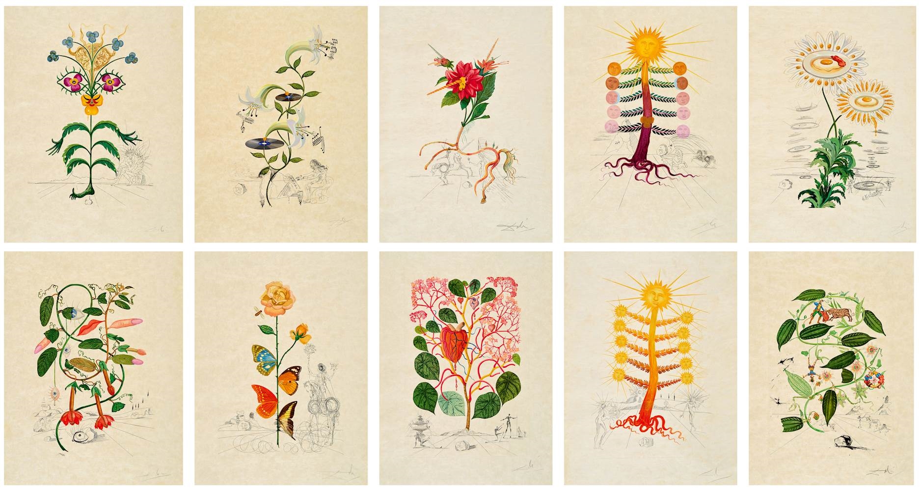 Salvador Dalí | Flordali (Flora Dalinae) (1968) | MutualArt