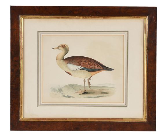 Beverley R. Morris | 2 Artworks at Auction | MutualArt