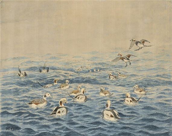 Johannes Larsen | Long-tailed ducks on the sea (42) | MutualArt