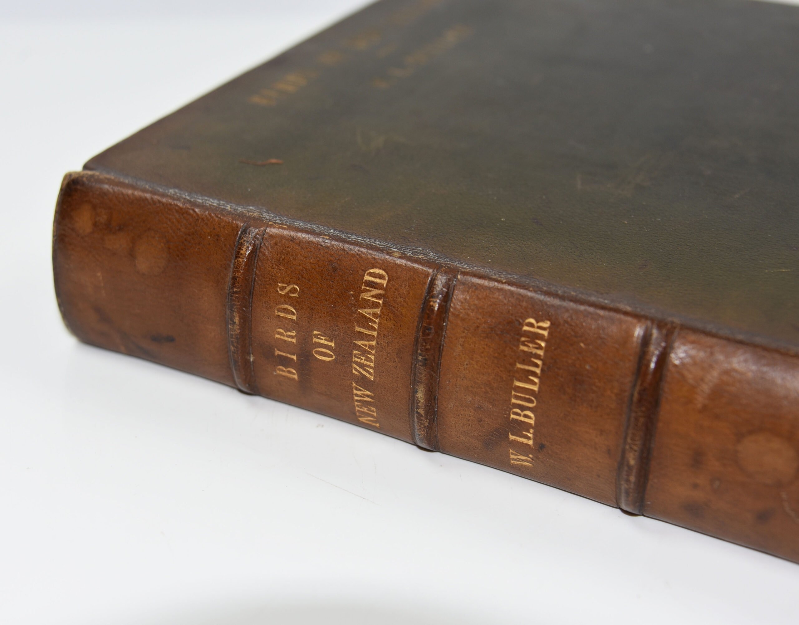 Walter Lawry Buller | Walter Lawry Buller (Sir) 1838-1906 (1873 ...