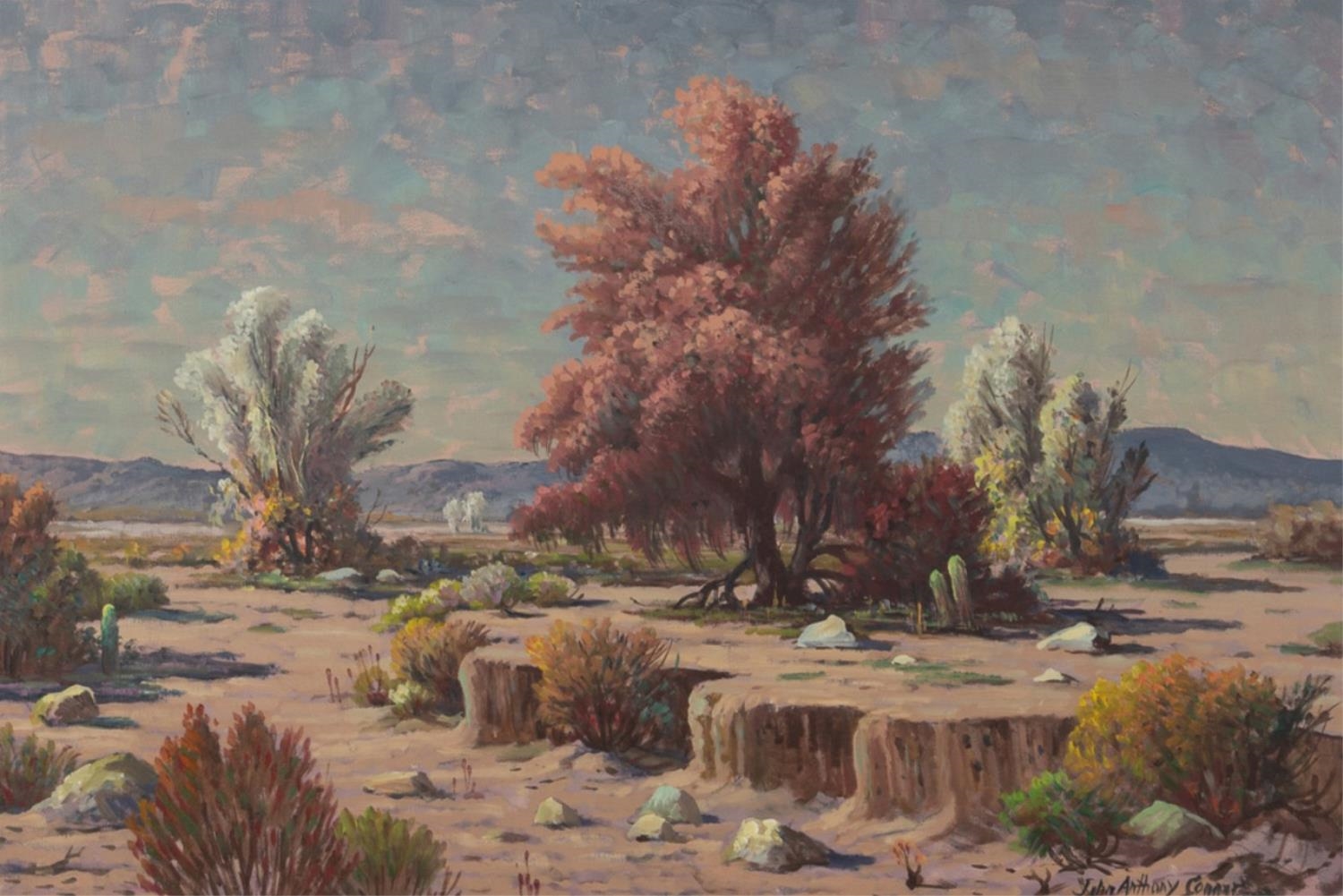 John Anthony Conner | DESERT LANDSCAPE (20th Century) | MutualArt