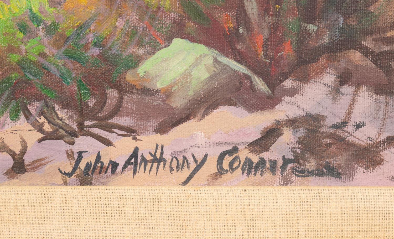 John Anthony Conner | DESERT LANDSCAPE (20th Century) | MutualArt