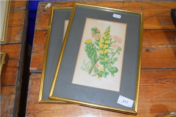 Ann Platt | 1 Artworks at Auction | MutualArt