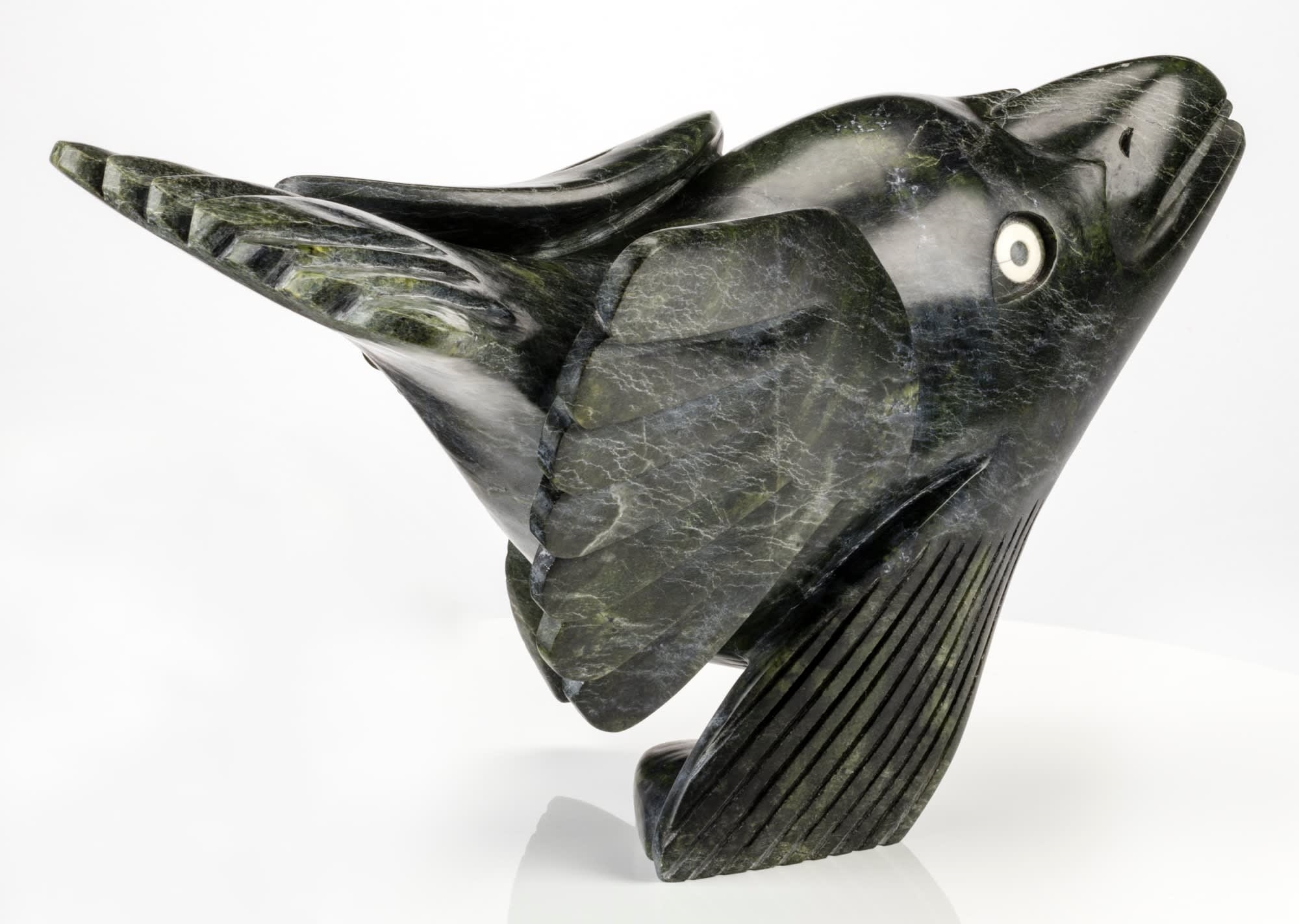 Toonoo Sharky | Bird Fish Transformation (Circa 2005) | MutualArt