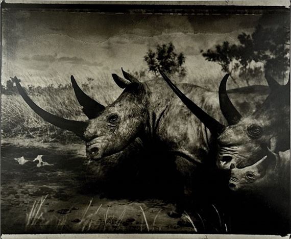 Sarah Moon | SARAH MOON 1941- (1941) | MutualArt