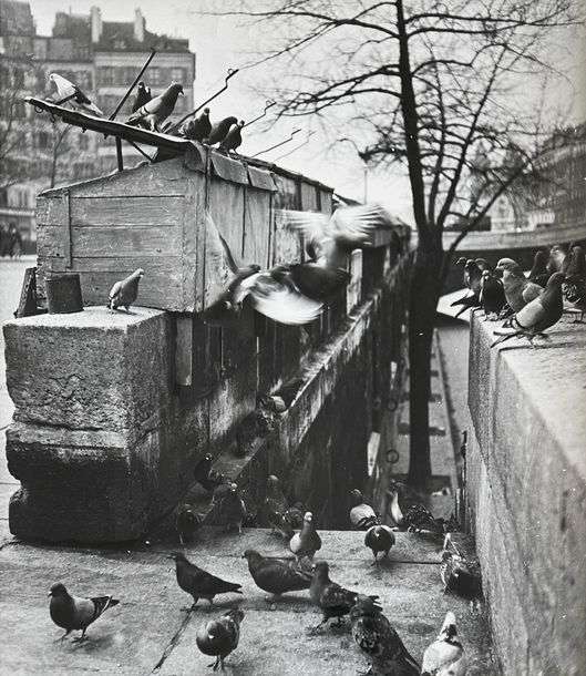 Izis | IZIS (Israëlis Bidermanas, dit) 1911-1980 (1911 - 1980) | MutualArt