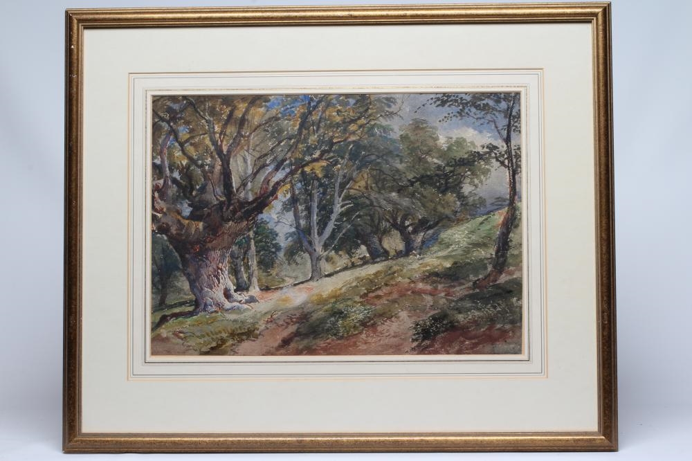 David Cox Sr. | Woodland View | MutualArt