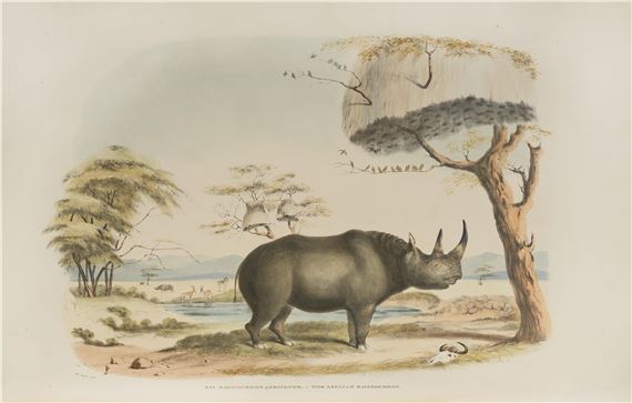 William Cornwallis Harris | Portraits of the Game and Wild Animals of ...
