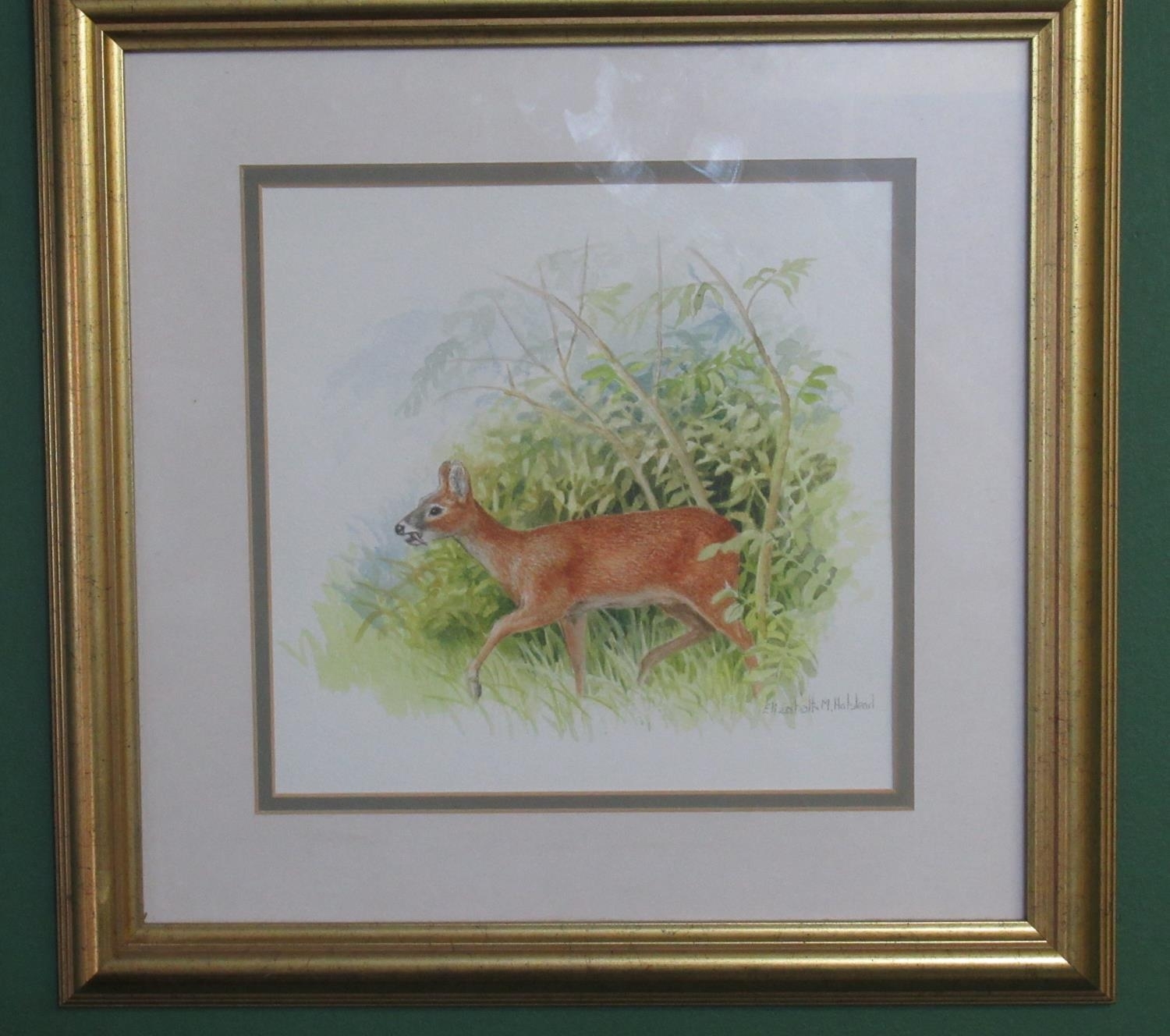 Elizabeth Halstead | ; Chinese Water Deer | MutualArt