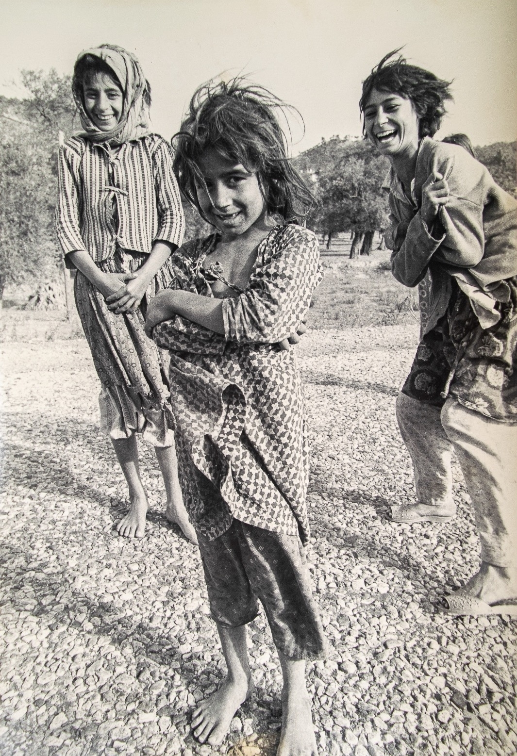 Patrick Lichfield | A group of three dynamic family portraits | MutualArt