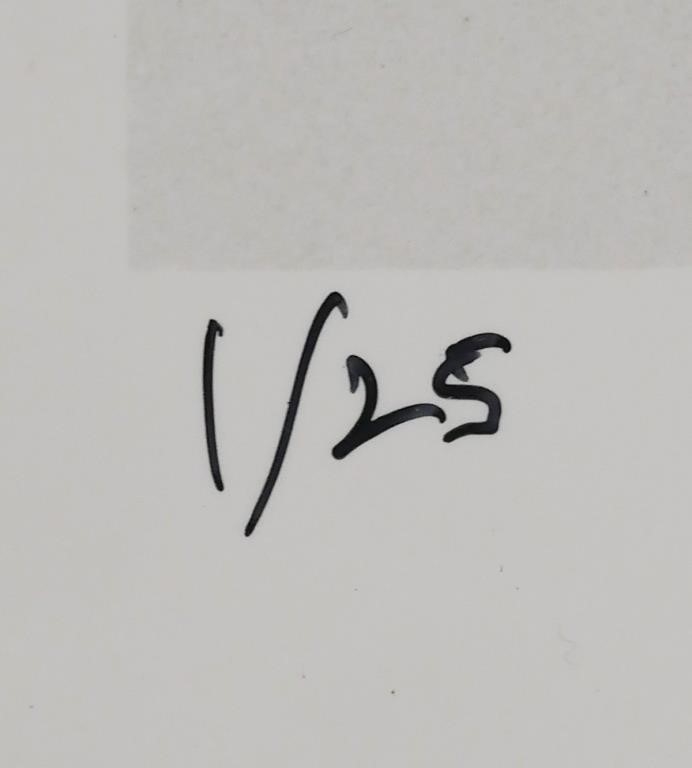 Chris Gabrin | ELVIS COSTELLO, Chris Gabrin Photograph (1977) | MutualArt