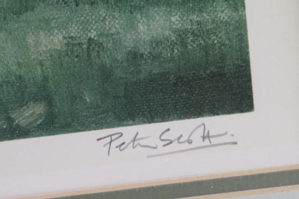 Peter Markham Scott | By artist Peter Scott dated 1969 (1969) | MutualArt