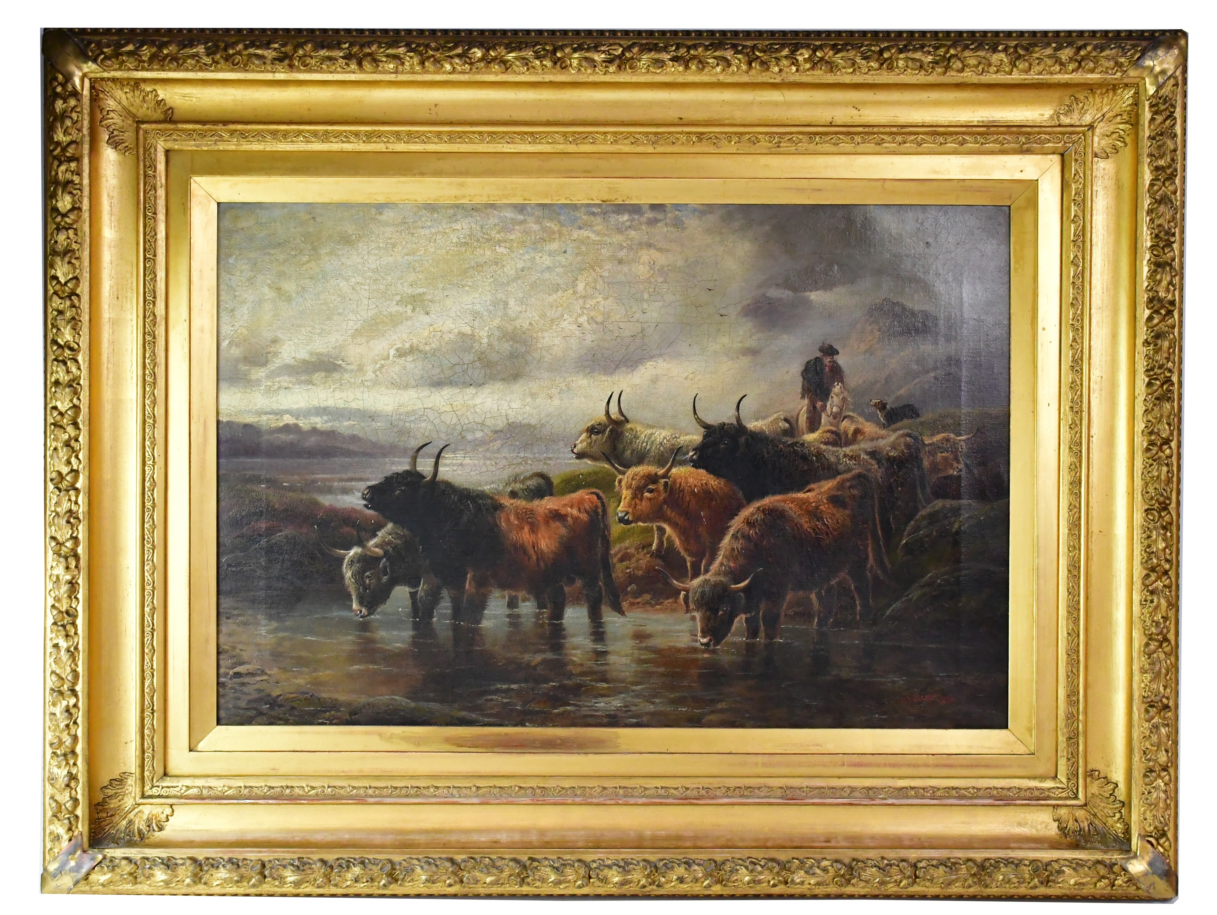 R. Watson | cows drinking from a lake with horse and rider in the ...